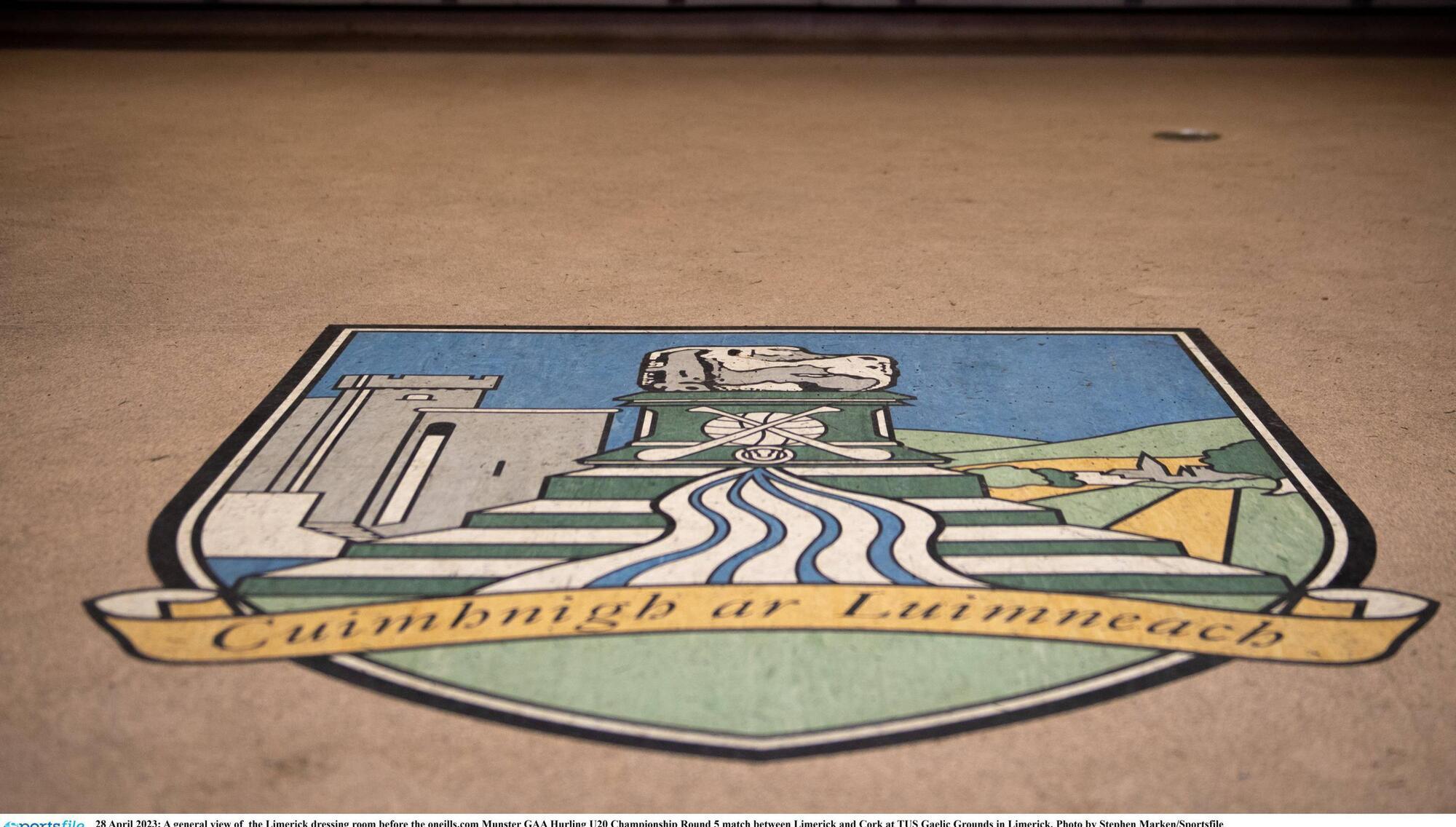 Limerick GAA eyes 95 acres of Patrickswell land to develop Centre of ...