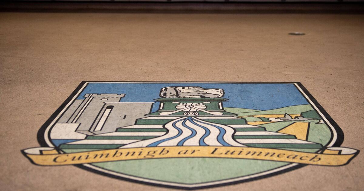 Limerick GAA eyes 95 acres of Patrickswell land to develop Centre of ...