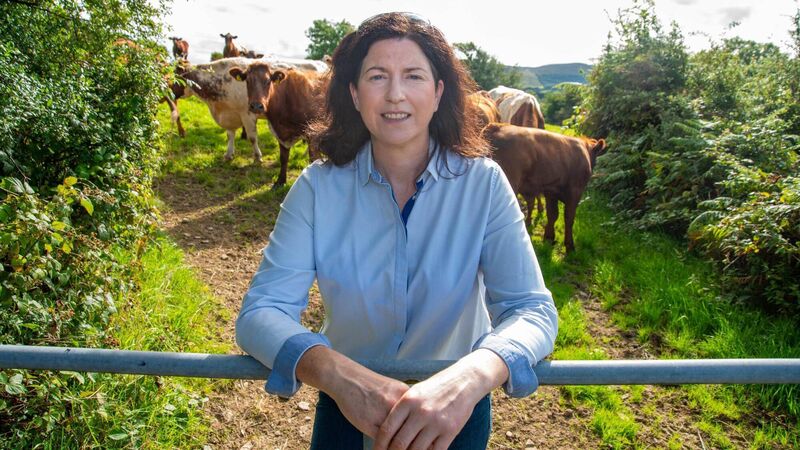 Helen O'Sullivan: Tireless work and roadblocks, but it just wasn't ...