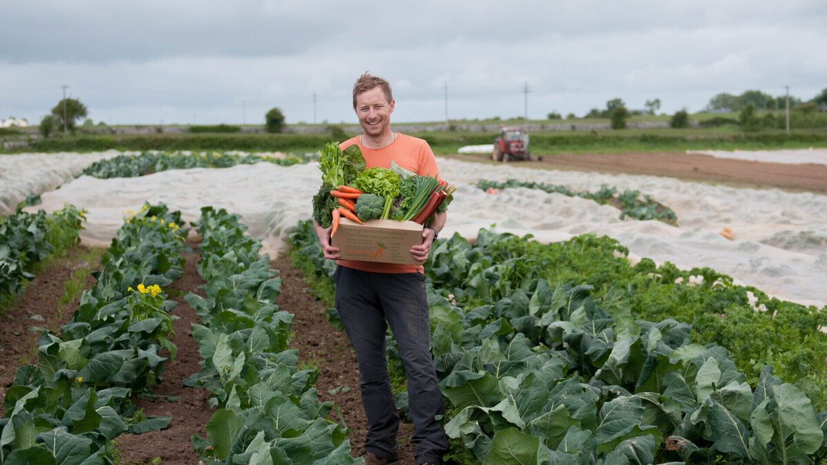 Green Earth Organics: Going back to our vegetable roots