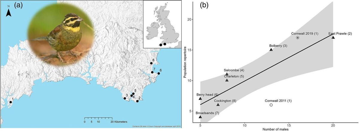 Richard Collins: Hand-reared songbirds learn the songs they need to survive