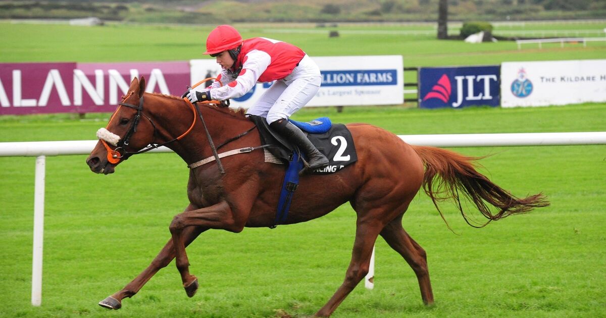 Lorna Fowler putting Colonel Mustard on Champion Hurdle case