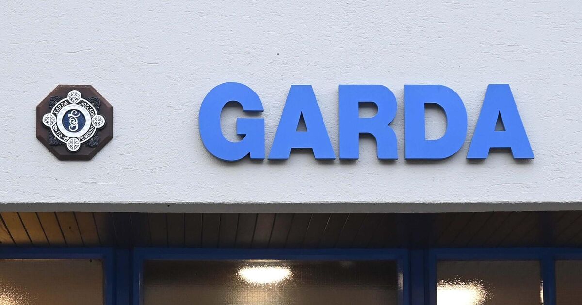 Garda reserve regulations to be revised in bid to boost recruitment