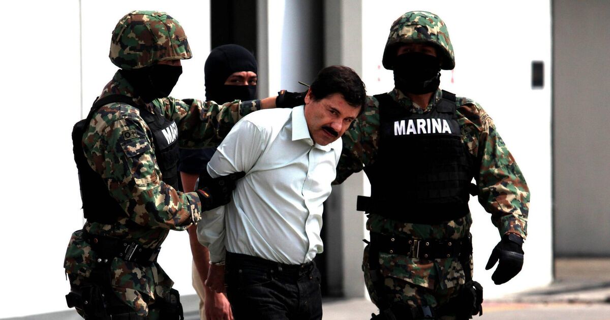 Exotic world of international drug cartels is right on our doorstep