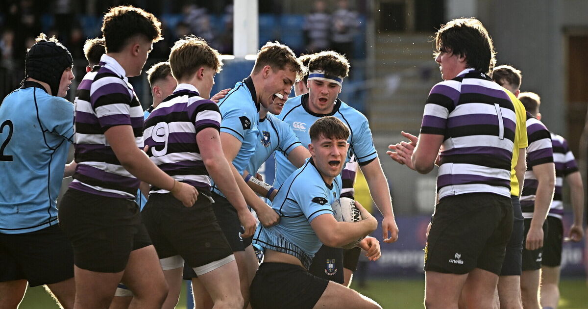 Leinster Senior Cup: St Michael's forced to dig deep before securing ...