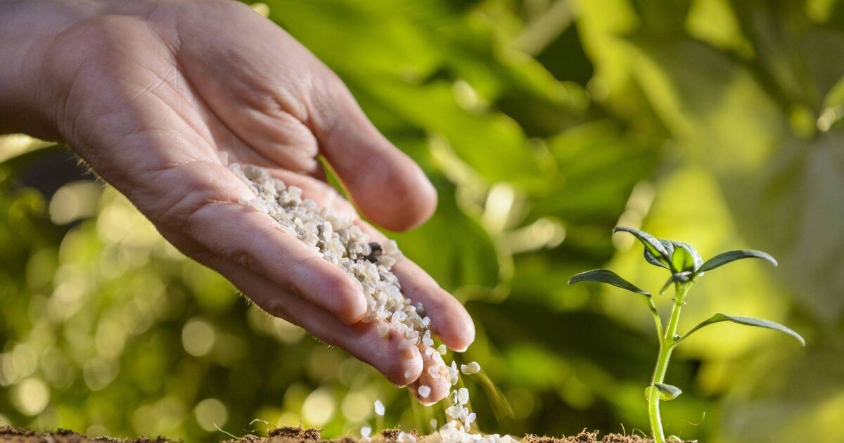 Stephen Cadogan: The new fertiliser gaining traction