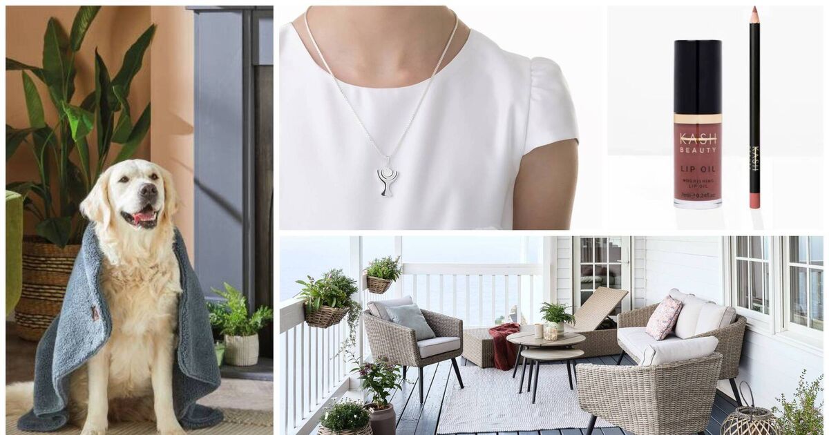 Bargain Hunter: Save 25% on iPads, Aldi's dog special buys and JYSK ...