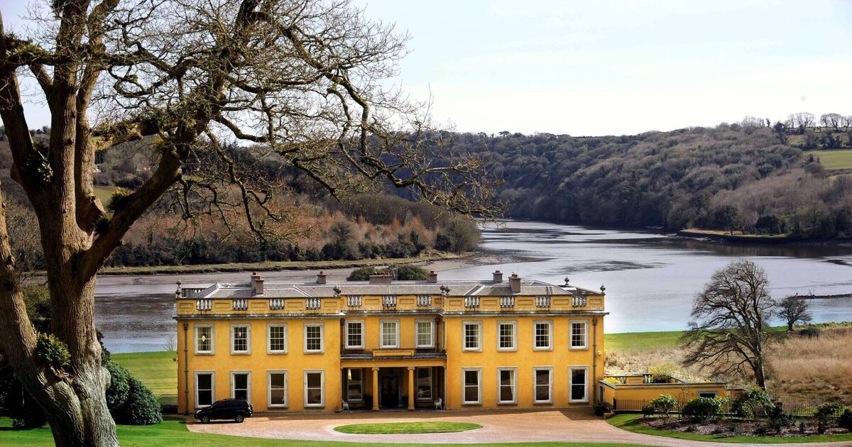 James Dyson thought to be behind Ireland’s biggest-ever private house sale