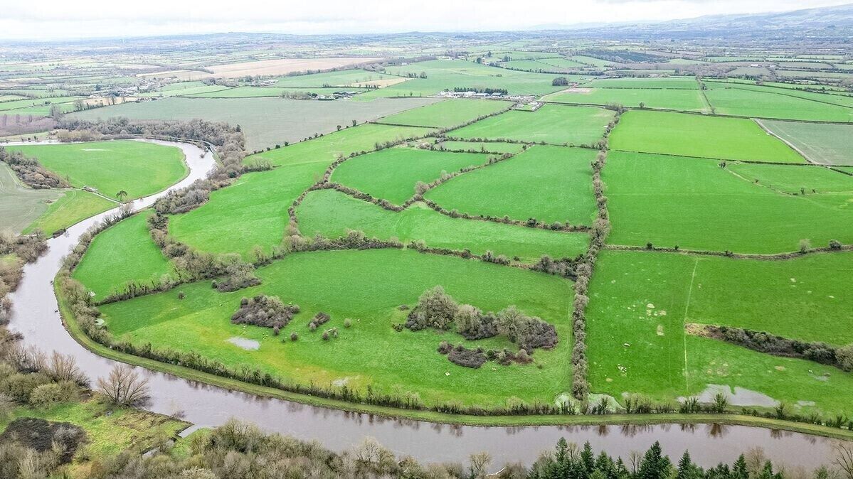 67-acre farm in the Barrow Valley guiding at €13.4k/acre