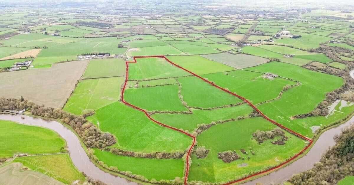 67-acre farm in the Barrow Valley guiding at €13.4k/acre