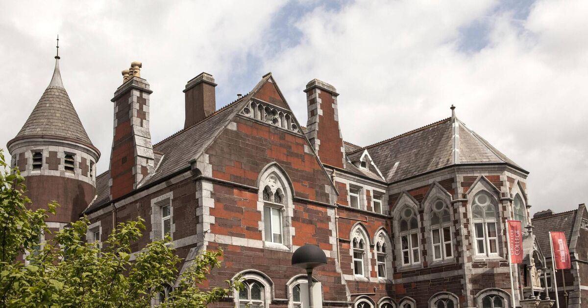 Griffith College Cork facing calls to remove pitch from landscape ...