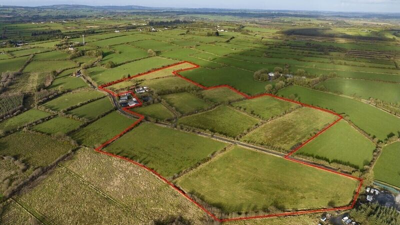North Cork farm with 28 acres has lots of potential