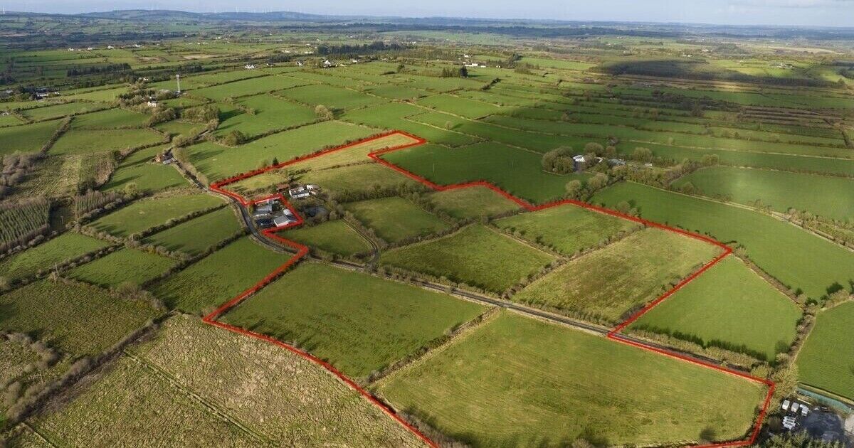 North Cork farm with 28 acres has lots of potential