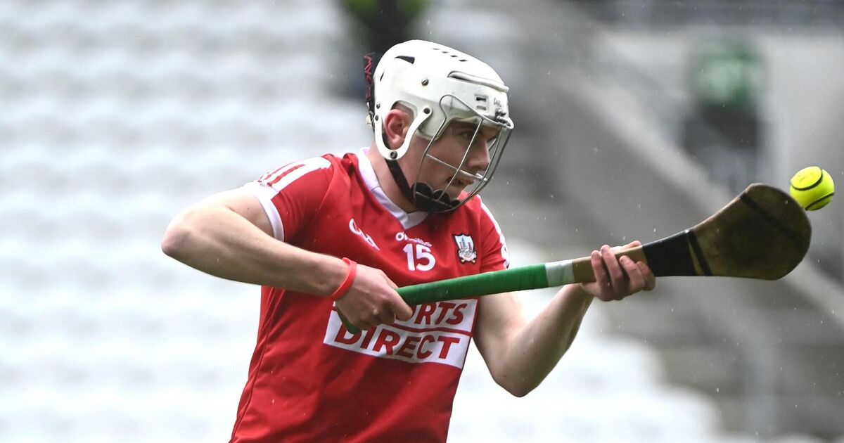 UL edge past Dublin City University to land Freshers 1 Hurling title