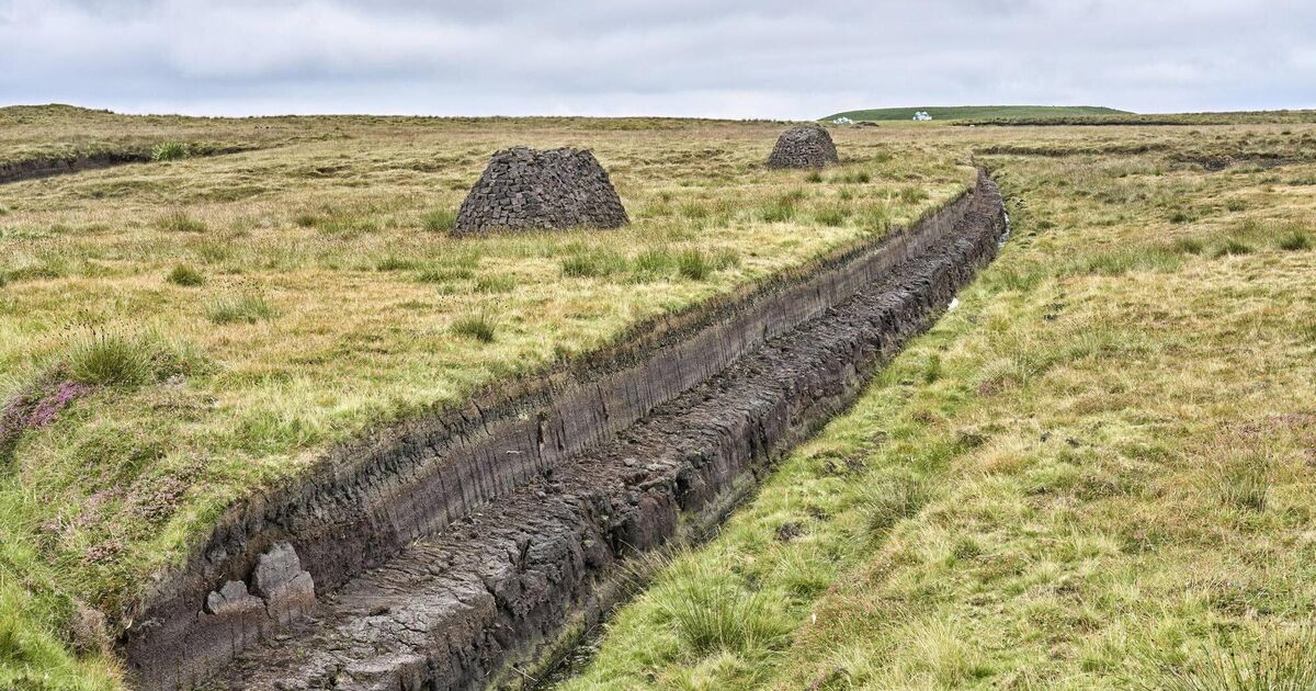 Research shows carbon emitting peat extraction figures vastly unreported