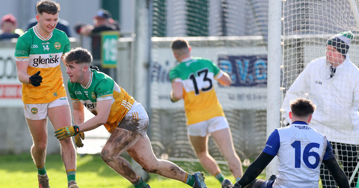 Offaly run five goals past Wicklow to ease to victory