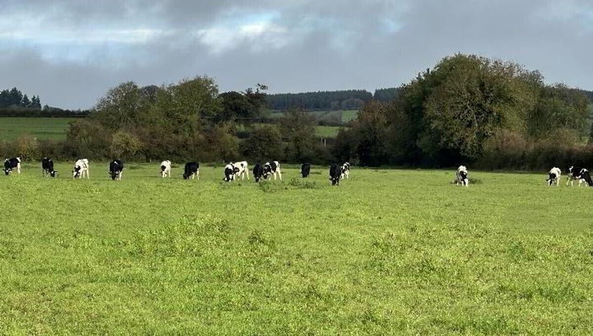 57-acre South Tipp farm already making €14k/acre