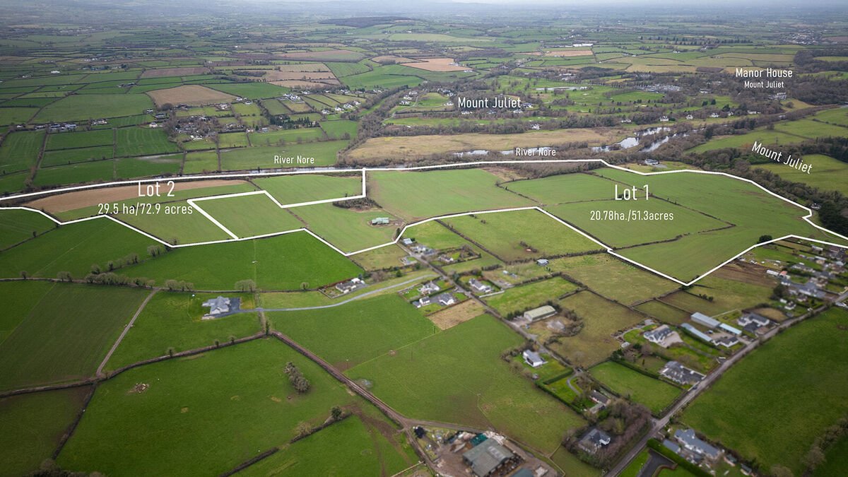Big interest expected in auction of 124-acre farm beside Mount Juliet