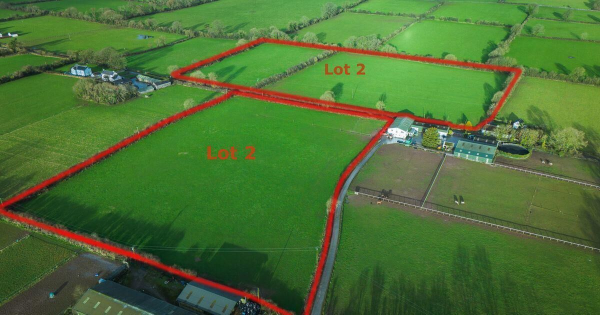 69-acre Cork farm sells for €1.87m at auction