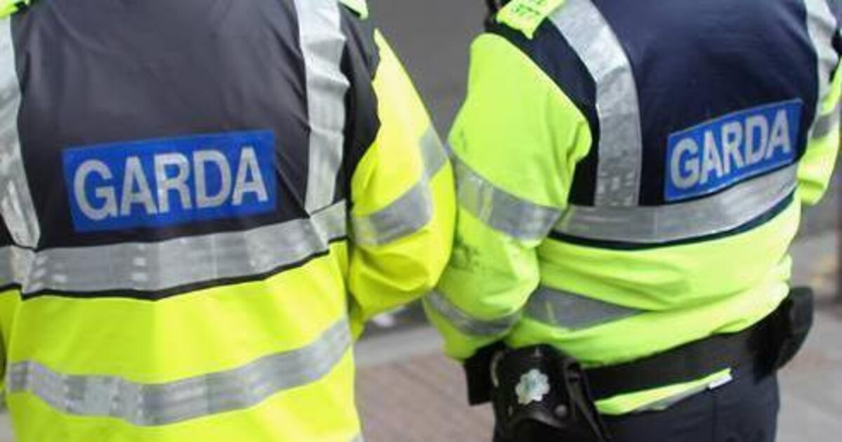 An Garda Síochána to spend €5.1m on private contractor for collection ...
