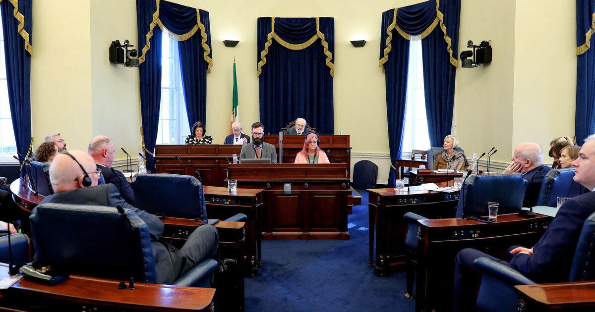 Letters to the Editor: Seanad Éireann is for independent voices