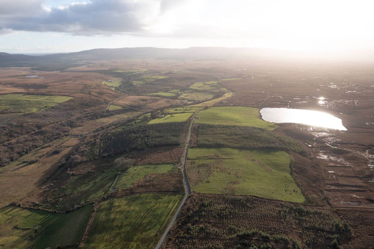 Conservation and education at a Sligo woodland thanks to a... local ...