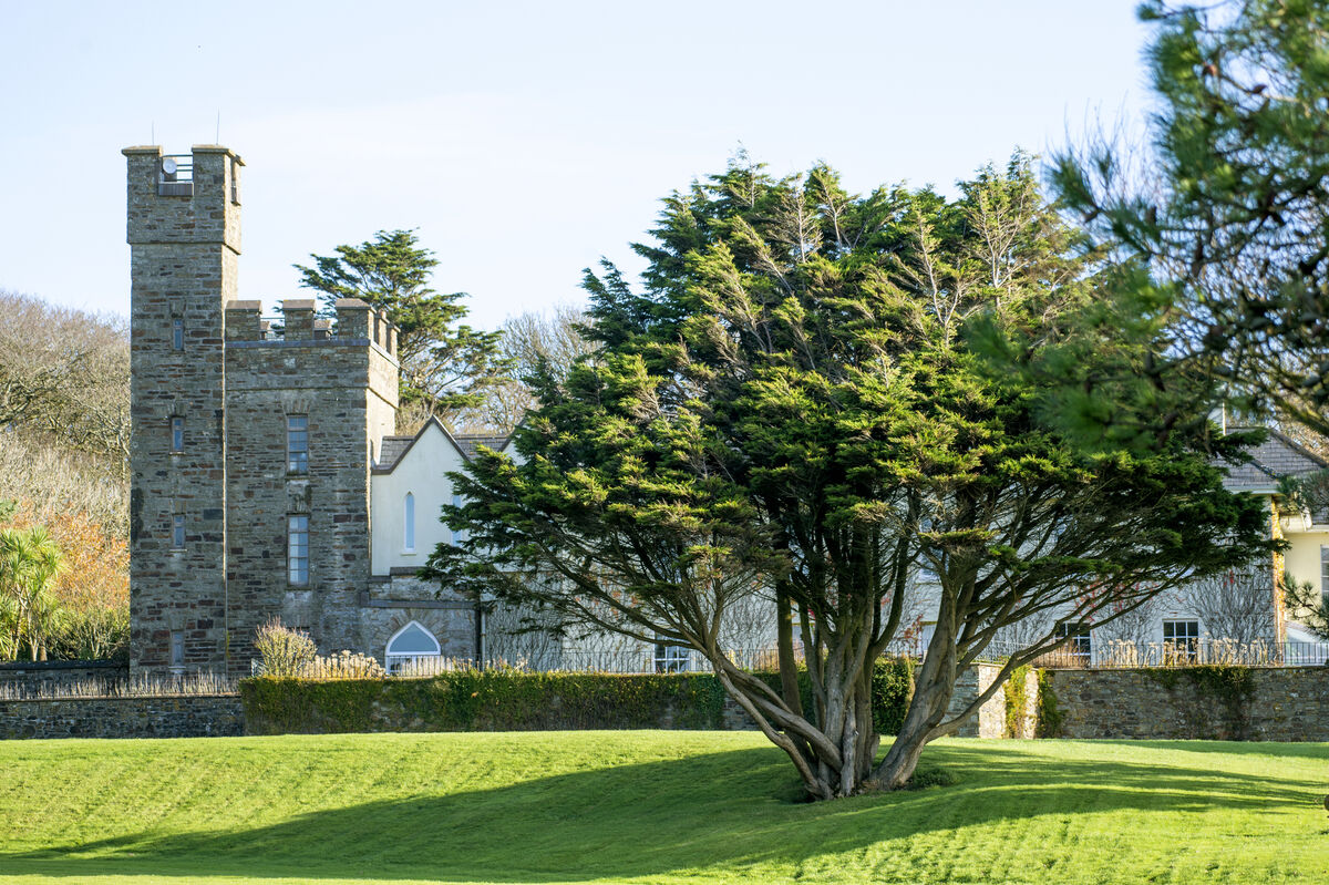 From wandering whales to Disney castles, Kilbrittain rolls out a West ...