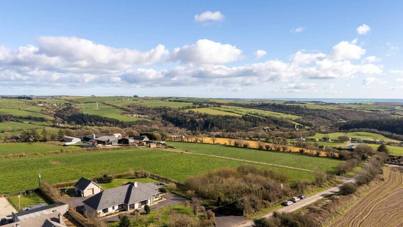 From wandering whales to Disney castles, Kilbrittain rolls out a West ...