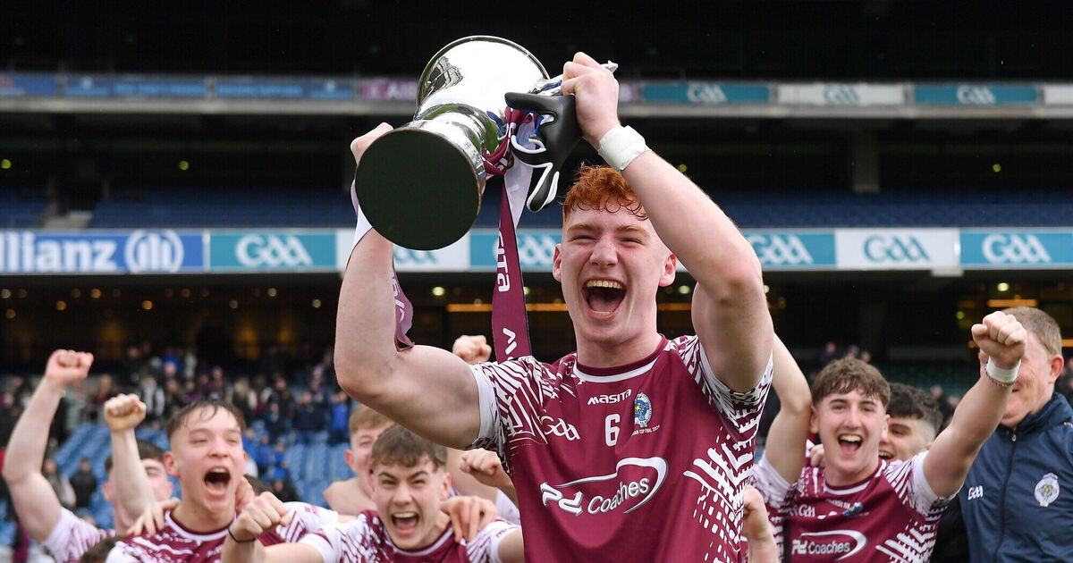 Dynamite Donnelly inspires holders Omagh CBS to emphatic Hogan Cup ...