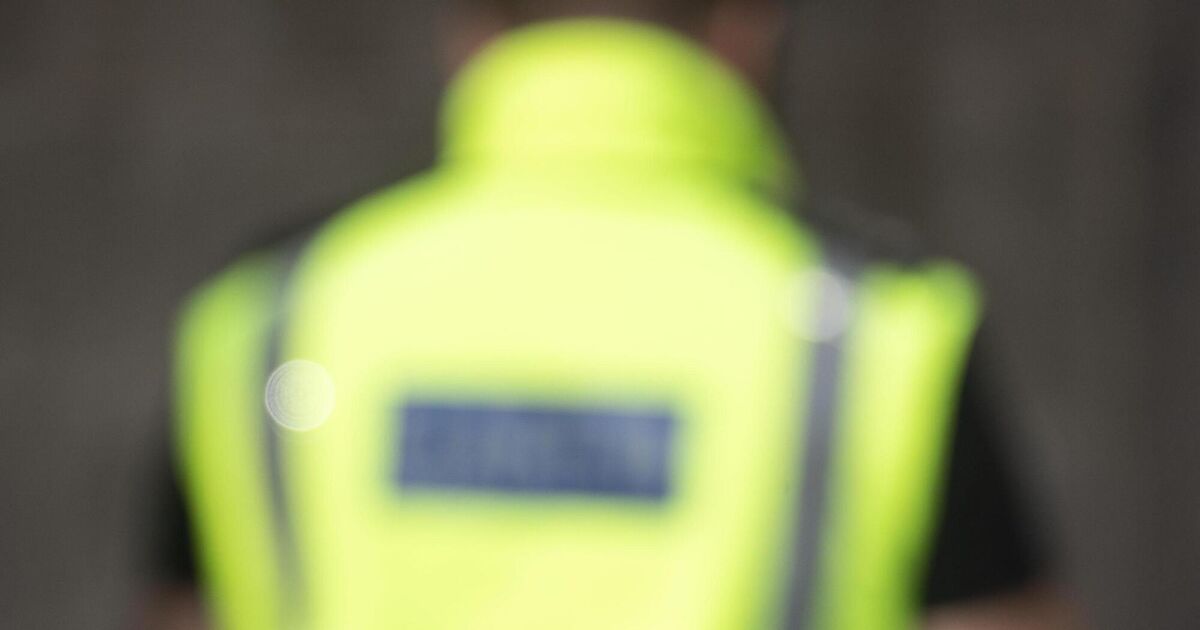 Garda suspended as GSOC investigate fatal hit and run in Louth