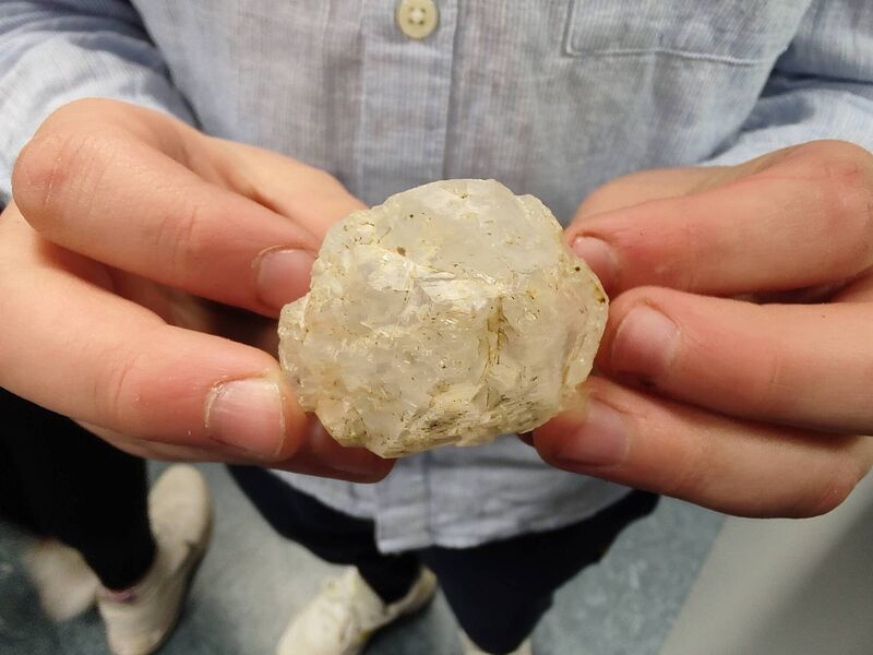 'Rock star': Cork boy, 7, is first person in 150 years to find rare ...