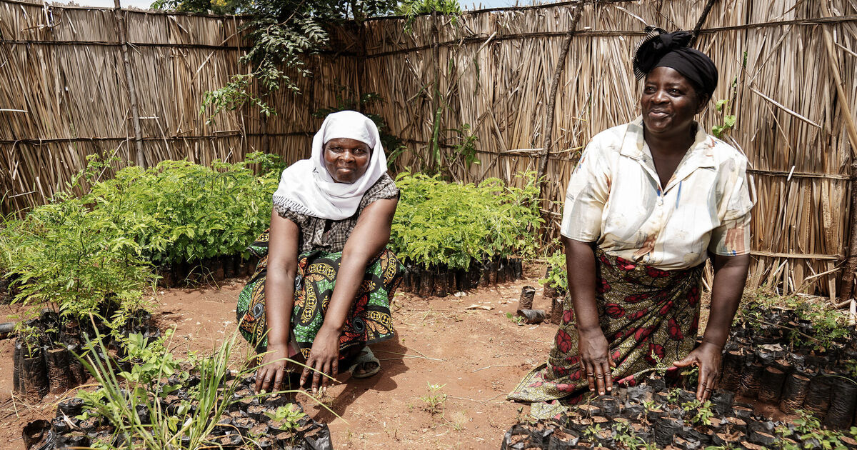 Irish aid worker: Malawi faces existential threat due to climate change
