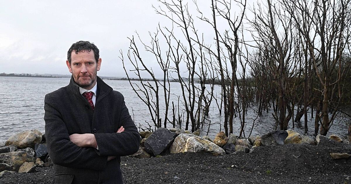 Outgoing Fine Gael MEP Colm Markey 'has a future in politics', says ...