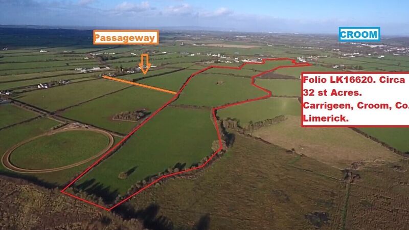 32-acre Limerick farm makes €18,000/ac at auction