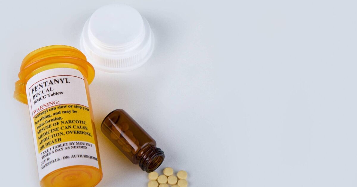 Inside the fentanyl trade powering the world’s deadliest drug crisis