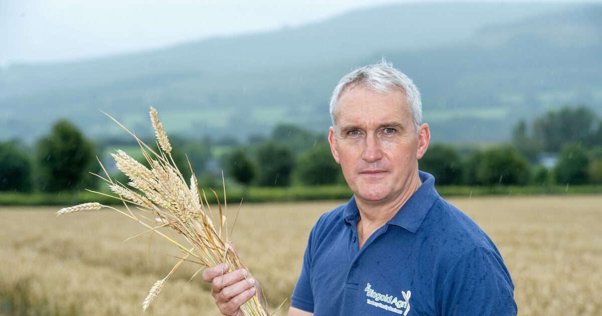 Tom Barry: Wet weather means I can't get valuable slurry out on to my crops