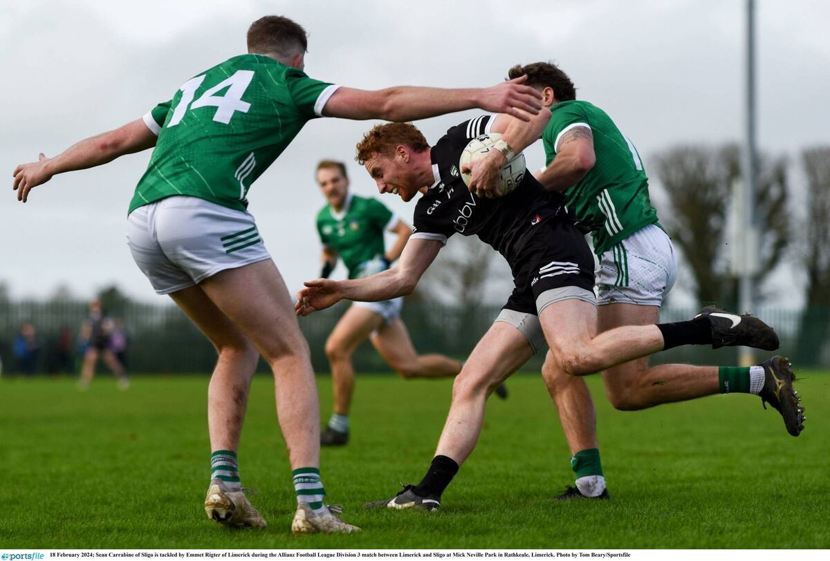 Jimmy Lee: Limerick not at required standard