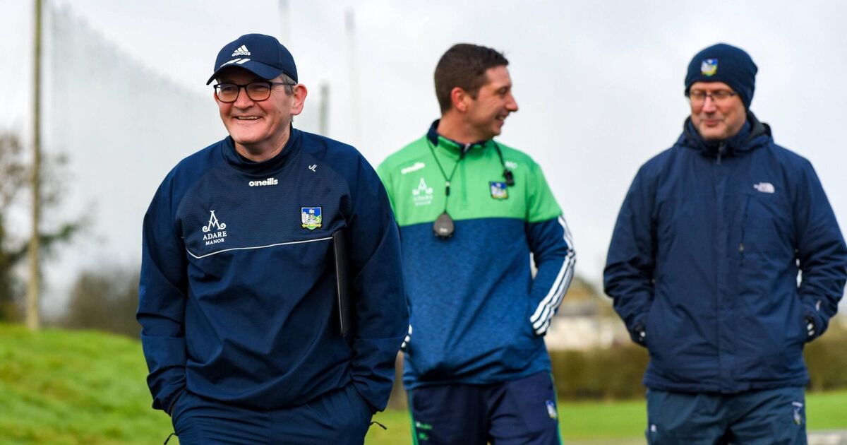 Jimmy Lee: Limerick not at required standard