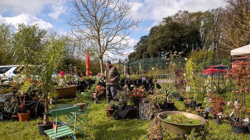 Peter Dowdall: Where does a love of gardening come from?