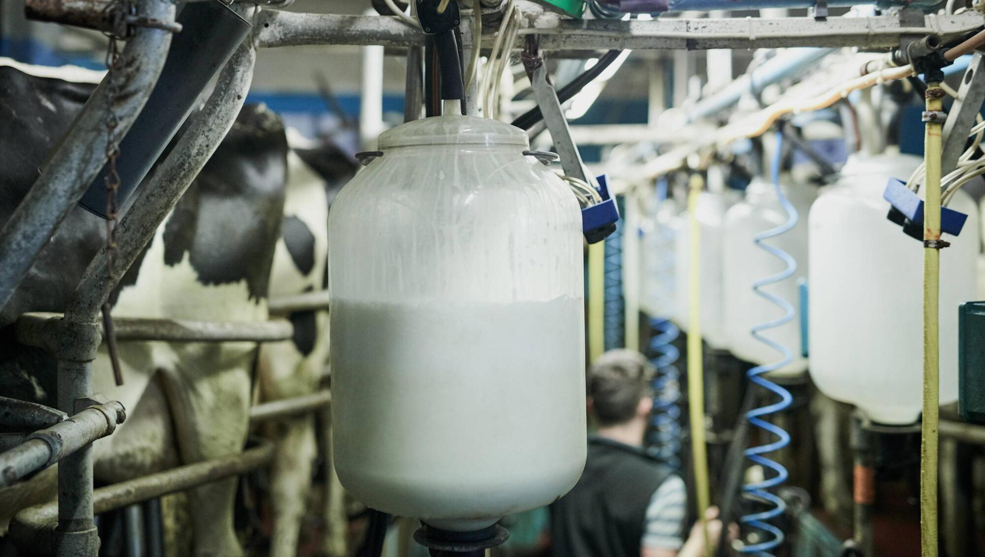 €10.5m for Kerry milk suppliers in 2023 top-up