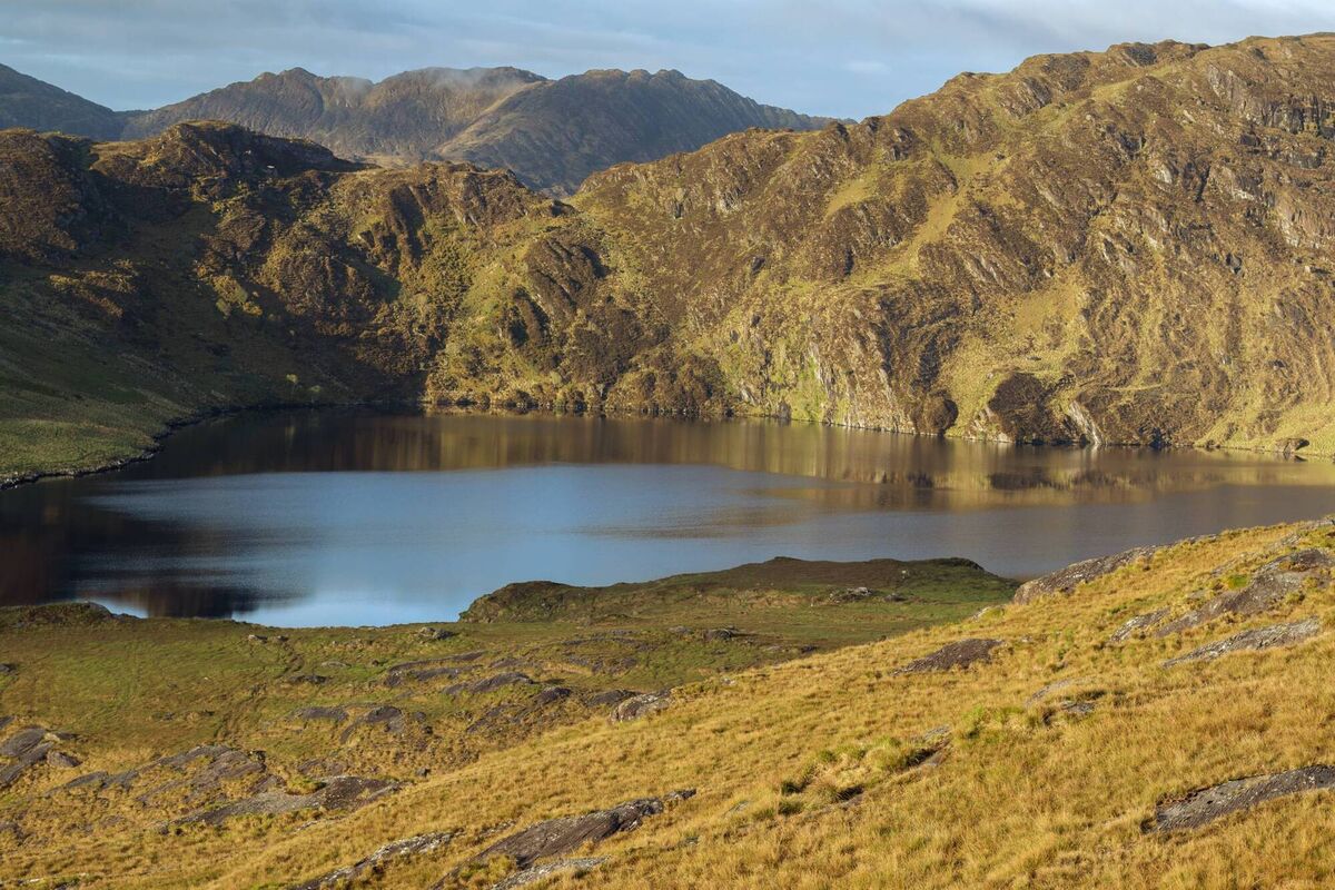 Almost Heaven, take me home, down the valley road to €440,000 Petey ...