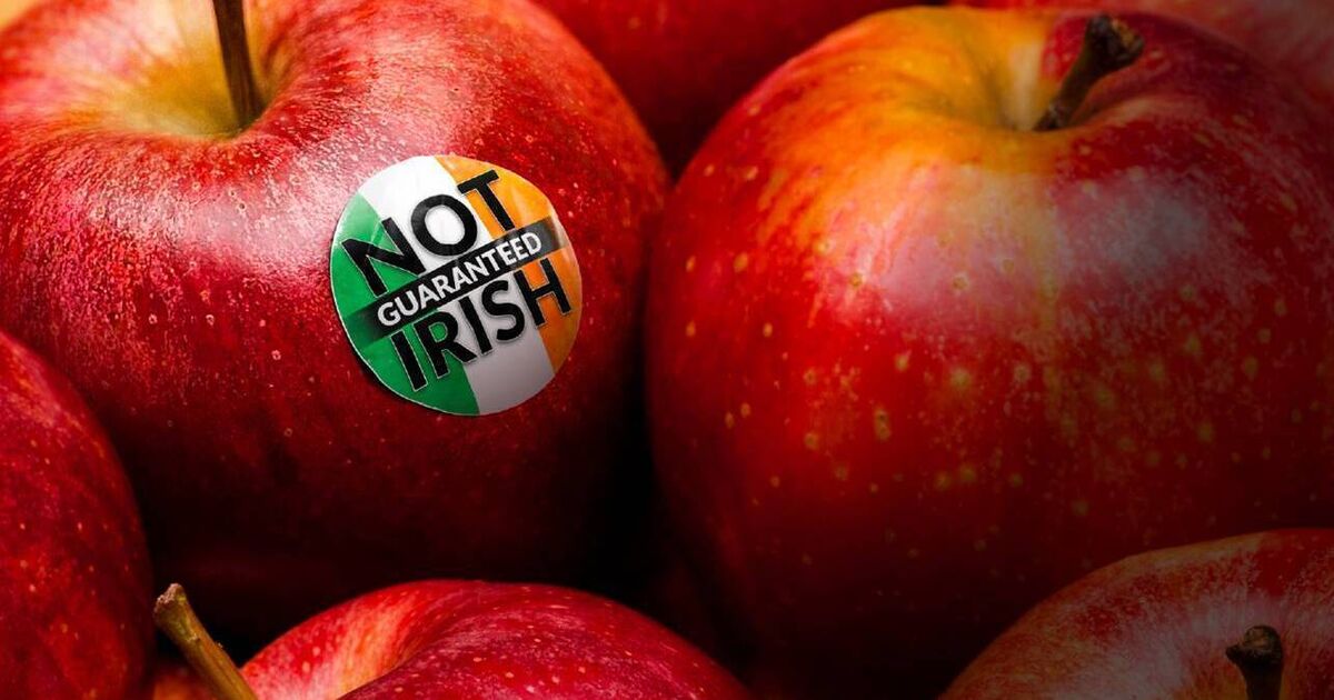 Joe McNamee: Can we fix our broken food chain?