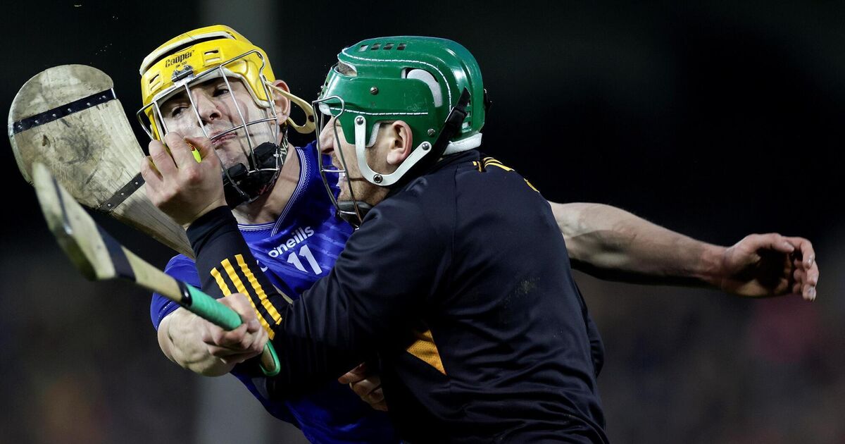 Brian Lohan puts final touch to Clare's period of promise