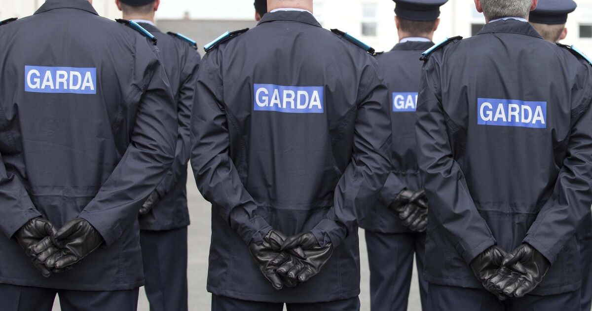 Increase in non 'White Irish' garda applications welcomed