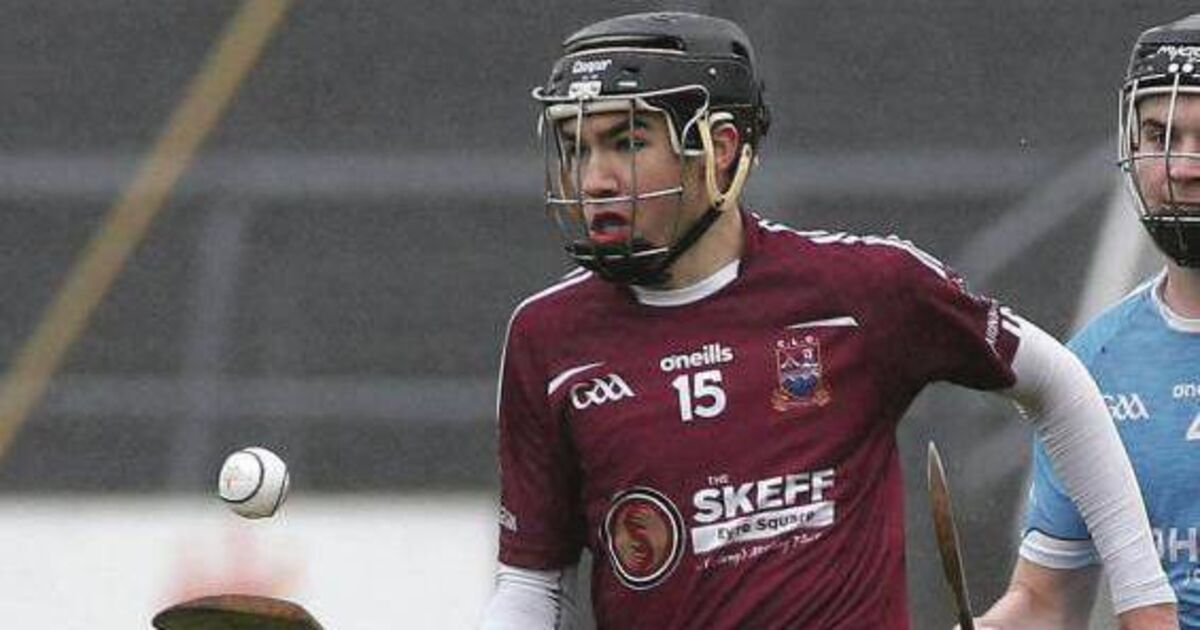 Leinster U20 hurling round-up: Aaron Niland leads Galway rout of Dublin