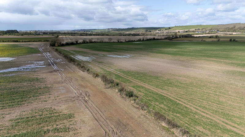 €100 for every hectare planted in 2024