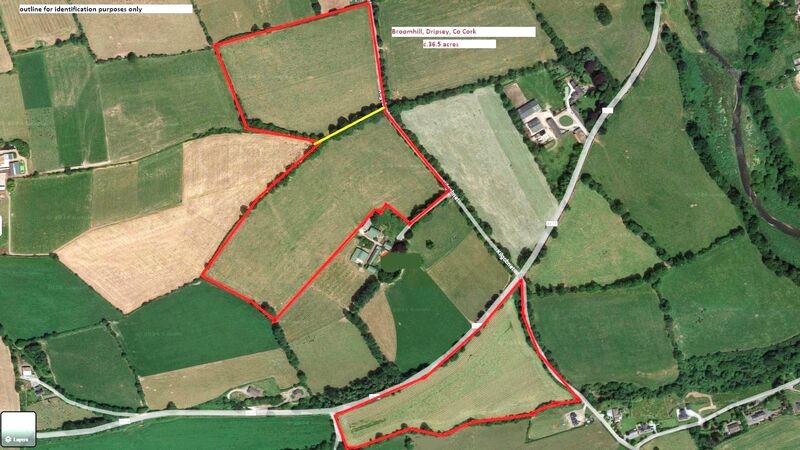 Cork farm expected to make more than €15k/acre