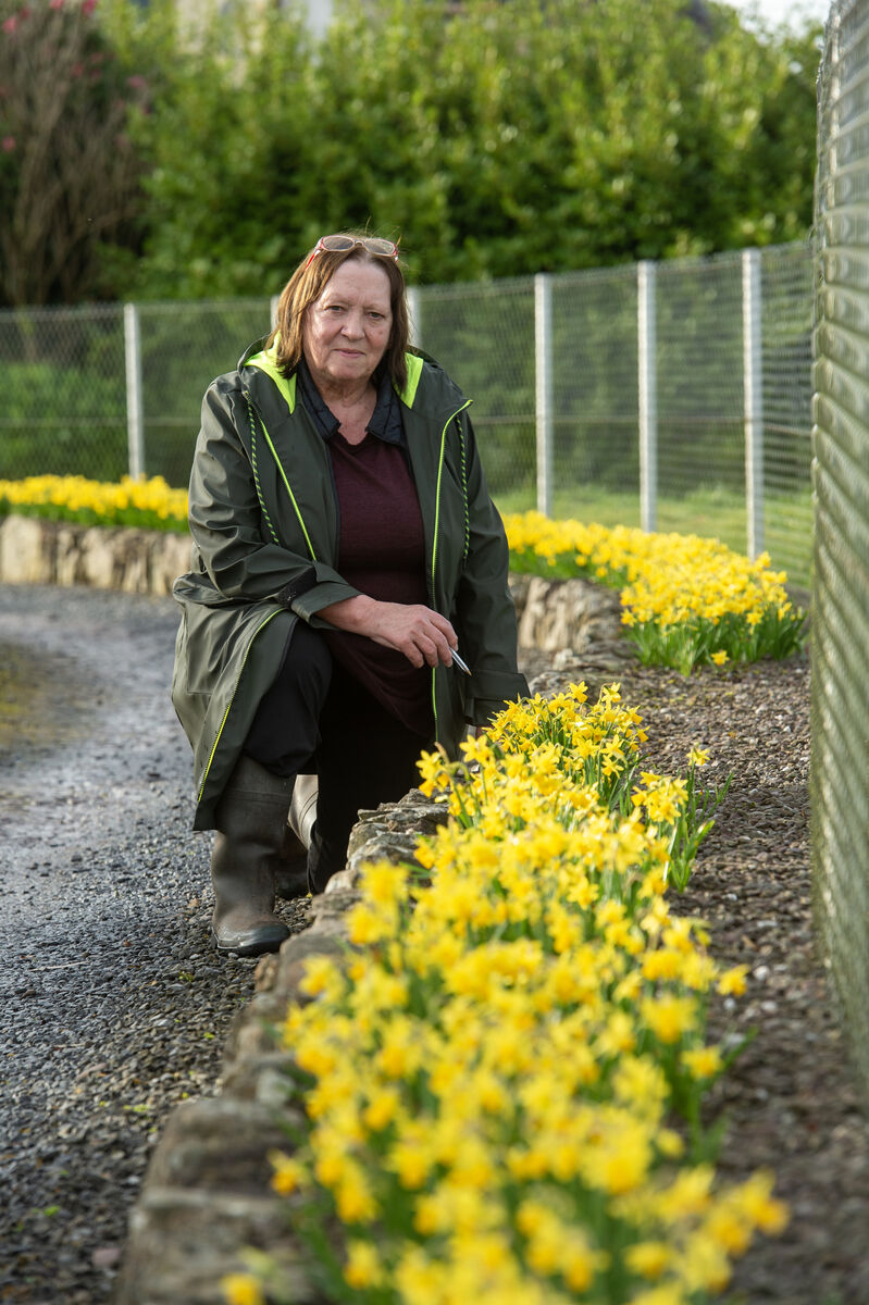 Field of dreams: Expect the unexpected at the Naughton family's ...