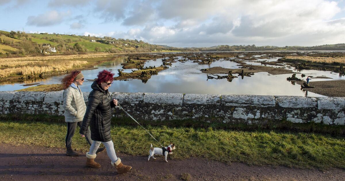 Explore these walks in County Cork this summer