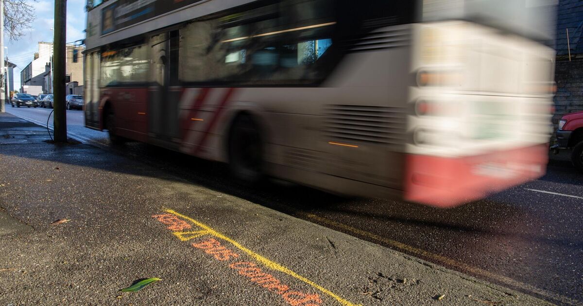 Transport body spends €2.5m to decide routes for Cork bus projects